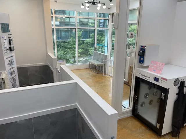 디너의여왕 - [경기 고양] 버블펫 10차